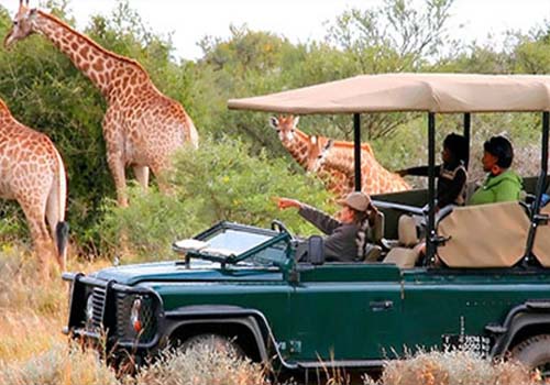 2 Days Akagera National Park Tour - Gorilla Trekking and Tours