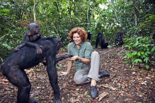 Congo Tourist Attractions and National Parks | Explore the DRC.