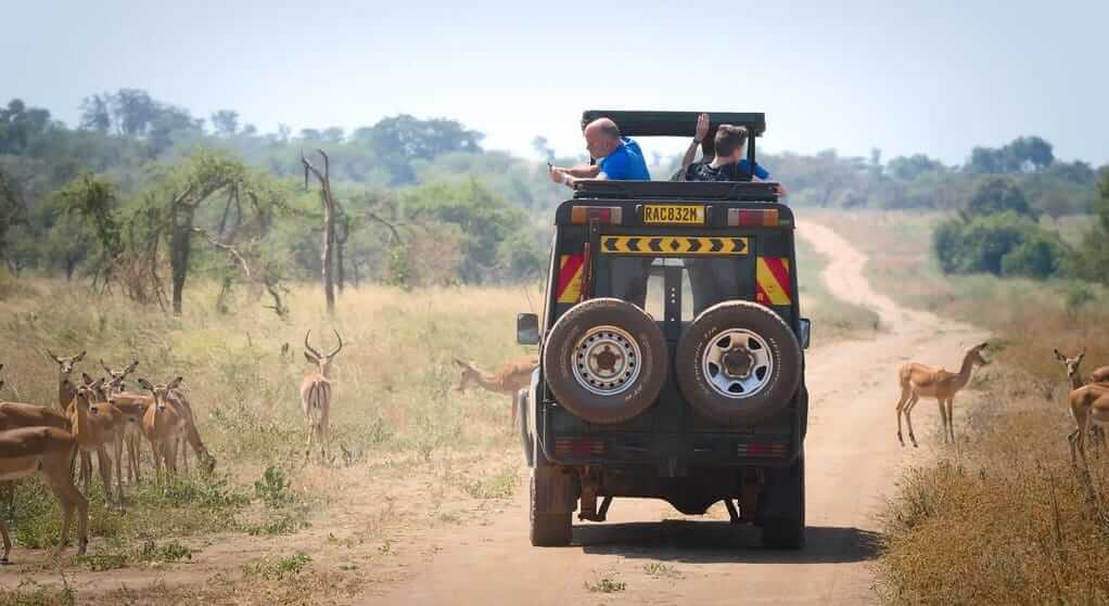 2 Days Akagera National Park Tour - Gorilla Trekking and Tours