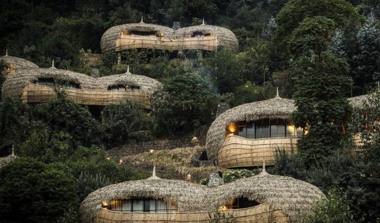 Bisate Lodge - Gorilla Trekking and Tours