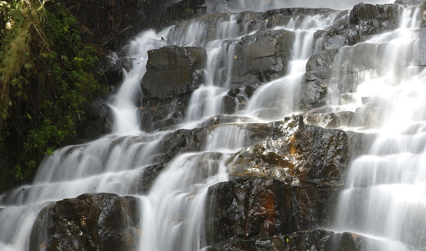 Burundi Tours - Gorilla Trekking and Tours