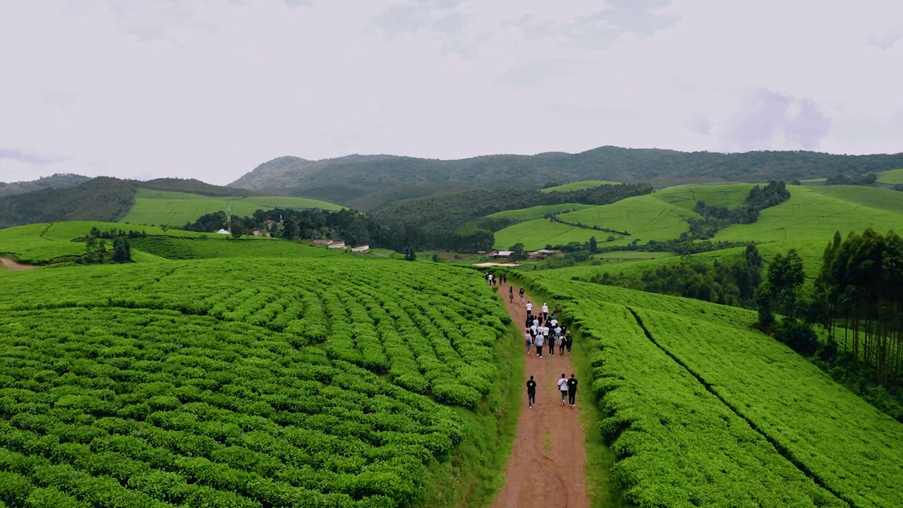 3 Days Burundi Wildlife Tour - Gorilla Trekking and Tours